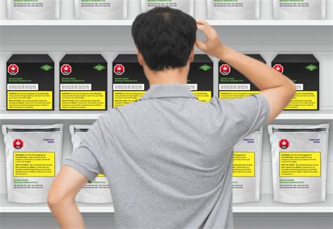 Laura Sciarpelletti On Linkedin “those Objectives Are To Provide