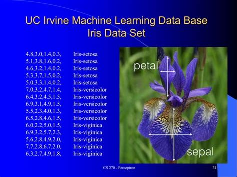 perceptron noural network algorithme pptx