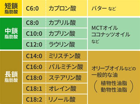 Mctオイルの使い方｜仙台勝山館ココイル【公式通販】
