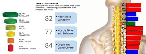 Chiropractic Core Score Assessment Sydney Chiro H3