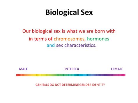 Celebrating And Supporting Lesbian Gay Bisexual Transgender Intersex Queer LGBTIQ