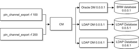 Mapping Data Between Ldap Data Manager And Your Directory Server