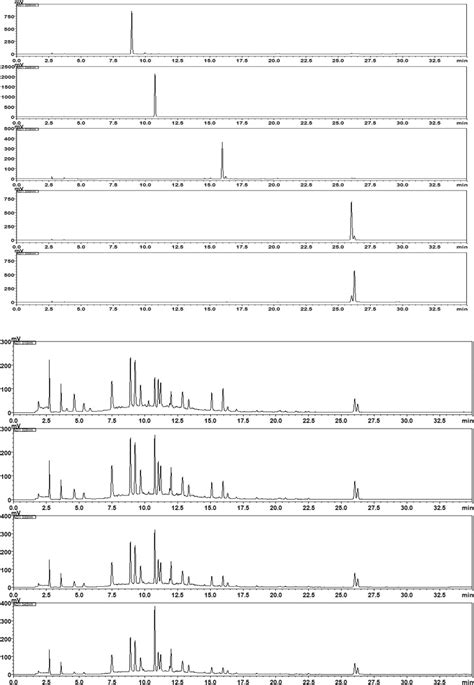 Typical Hplc Pda Chromatograms Of Each Standard Compound A And