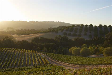Your Guide To Paso Robles Wine Country Discover California Wines