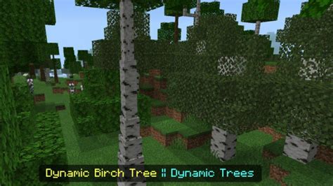 Download Dynamic Trees Mod For Minecraft Bedrock Edition