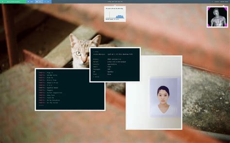 Openbox Trigger Warning Actual Oc Cat Runixporn