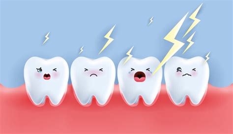 Tooth Molar Icon Vector Images Over 14000