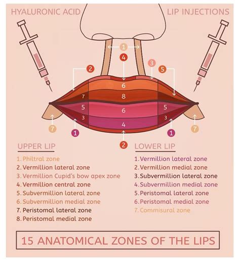 Detailed Information On Botox Eands Lounge Facial Aesthetics Lip