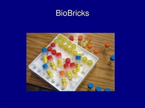 Ppt Biobricks Powerpoint Presentation Free Download Id 8734974
