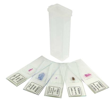 Prepared Microscope Slide Set Supertek Scientific