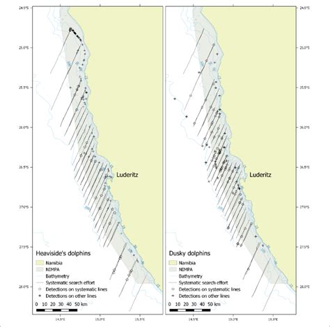 Systematic Line Transect Survey Effort By The Combined Platform And Download Scientific