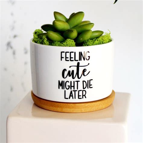 Cute Pots Etsy