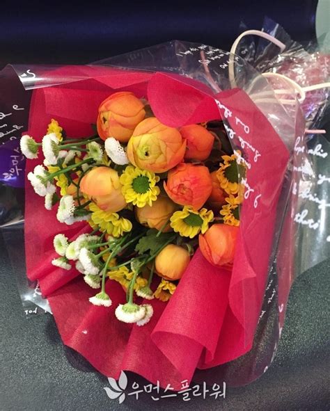 주홍빛의 라넌큘러스 그 매혹적인 아름다움