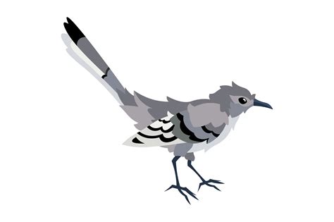 Mockingjay Bird Drawing