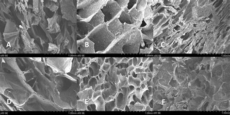 Scanning Electron Microscopy Of Hydrogel Caco3 With 50× Magnification Download Scientific