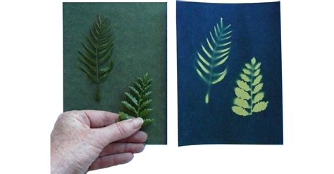 Cyanotype Store Cyanotype Paper 162243 Bandh Photo Video