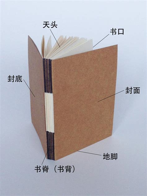 书 各部位的名称 知乎