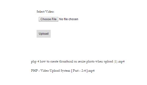 Javascript Divide The Video Upload Div And Url Link Div To Two Web