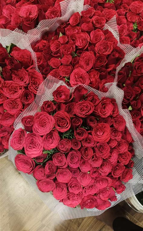 개화하는 장미 관상용 식물 기념일 꽃 꽃 가게 꽃 선물 꽃 장식 꽃꽂이 꽃다발 배열 꽃을 자르다 꽃잎 낭만적 인 꽃 녹색 줄기 녹색의 대비 로맨스