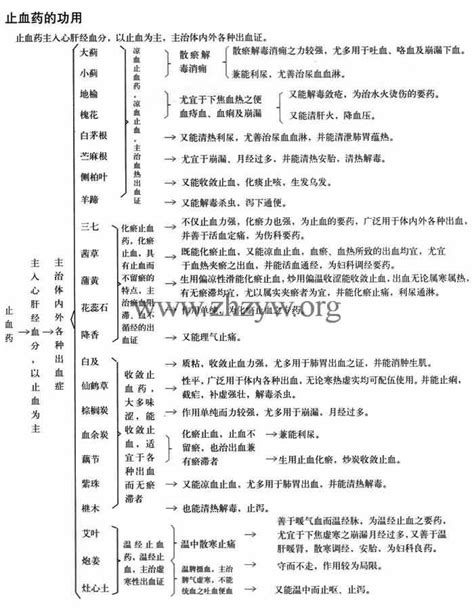 止血药的功用 中药基础 中医宝典