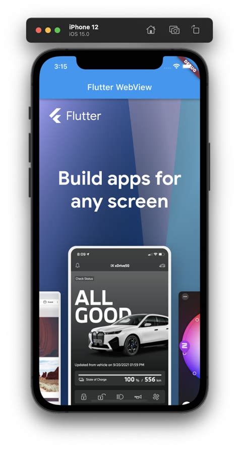 Develop Your Application Webview With Flutter By Turedioglu Fiverr
