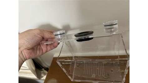 Insect Enclosure L4 Every Thing In Photo