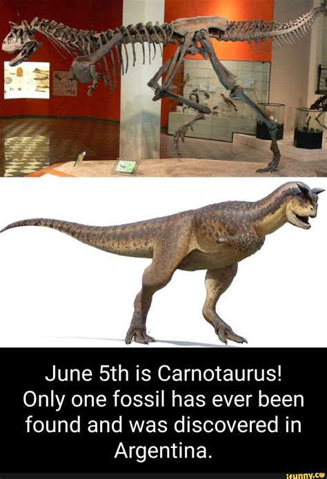 June Is Carnotaurus Only One Fossil Has Ever Been Found And Was