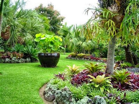 Decora Interi Jardins Tropicais