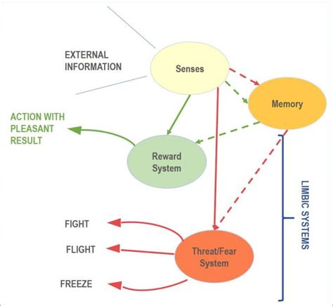 Nlp Anchors Or Nlp Anchoring How And Why Do They Work Neuroquotient