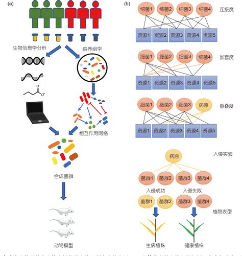 Figure 2 From Design And Application Of Synthetic Microbial Communities Semantic Scholar