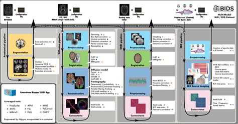 Connectome Mapper 3 — Connectome Mapper 3