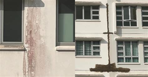 Netizen Shares Another Mouldy Hdb Block Punggol That Looks Haunted
