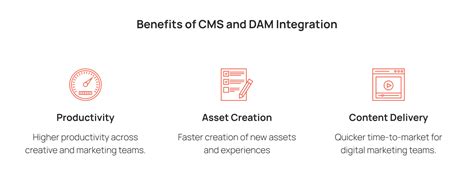 Dam Vs Cms Whats The Difference And Why You Need Both Axamit