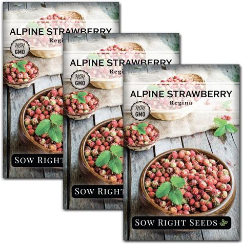 Sow Right Seeds Regina Alpine Strawberry Seeds For