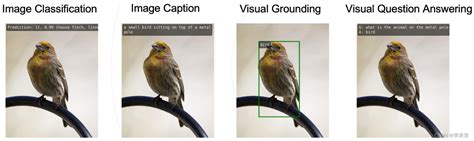 开源算法体系openmmlab Csdn博客 开源算法体系openmmlab Csdn博客