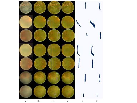Random Samples Of Successfully Predicted Masks The First Column A