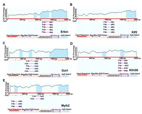 The Integration Of Genome Wide Dna Methylation And Transcriptomics Identifies The Potential