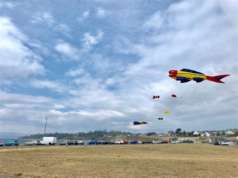 [한국어 가이드] 빅토리아 하루투어 에릭과 함께하세요 줌줌투어 캐나다 밴쿠버
