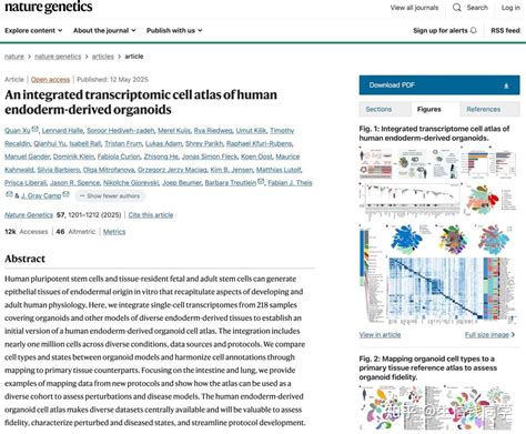 这个国外团队真强，才几个月一篇nature，一篇nat Genet，单细胞整合，套路几乎一样 知乎