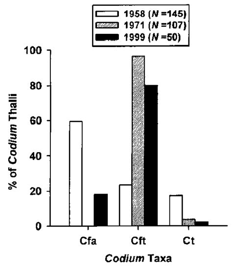 Relative Abundance Of Introduced And Native Codium Spp At Black Head