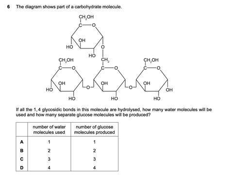 Carbohydrates Diagram Of Molecule