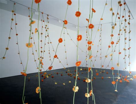 Anya Gallaccio Artists Lehmann Maupin