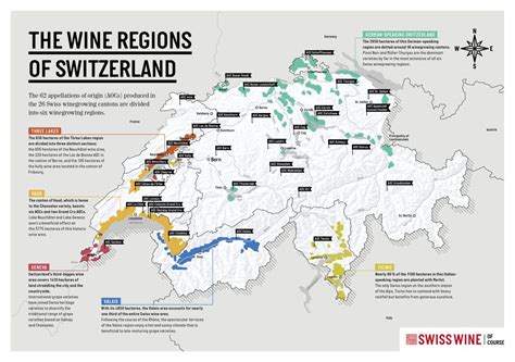 Ultimate Guide To Switzerland Wine Country
