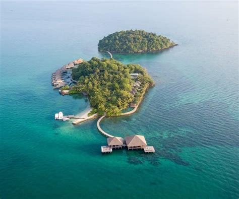 S For Sustainability Patrick Farrell