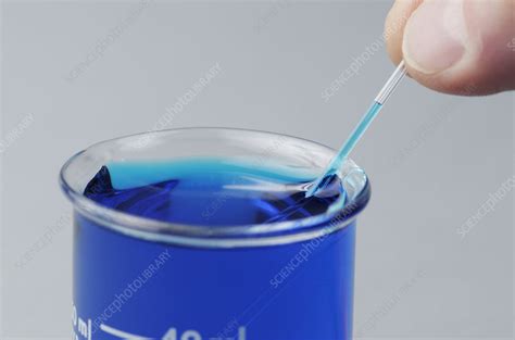 Capillary Action Stock Image C Science Photo Library