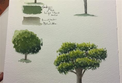 Trees Skillshare Babe Project