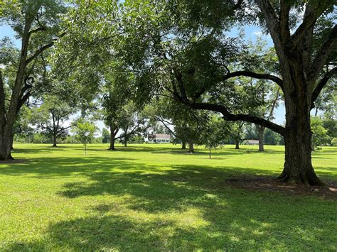 Shellman Georgia A Small Towns Story Of Heritage Hardship And Hope
