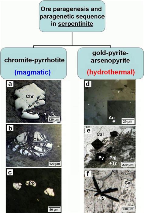 Ore Paragenesis And Paragenetic Sequence In Serpentinite A Subhedral Download Scientific