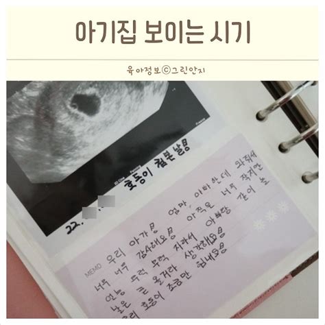 아기집 보이는 시기 난황 태아 심장소리 시기 임신5주차 증상 네이버 블로그