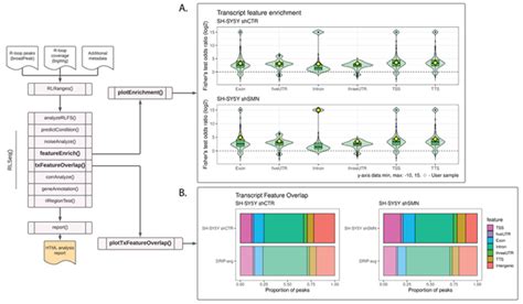 Rlsuite An Integrative R Loop Bioinformatics Framework